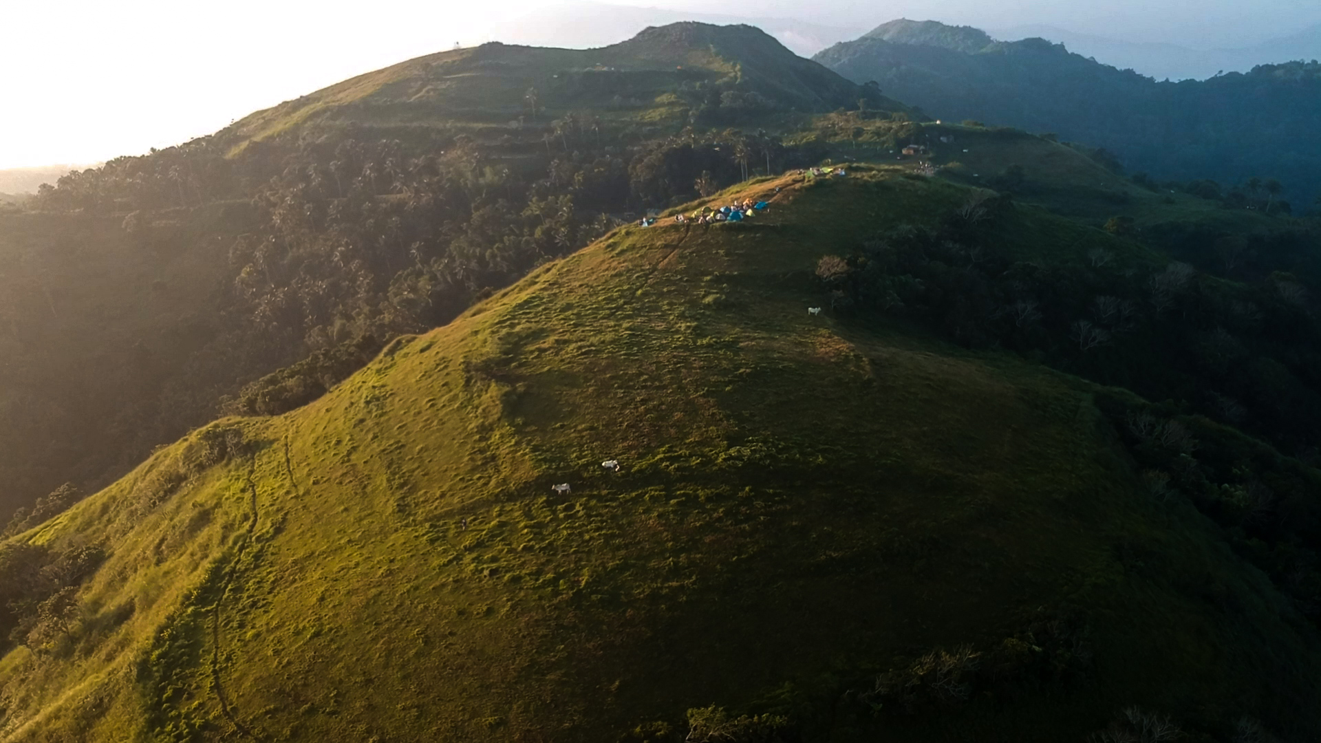 2025 MT. GULUGOD BABOY DAY HIKE GUIDE (Budget + Itinerary) - The Queen ...