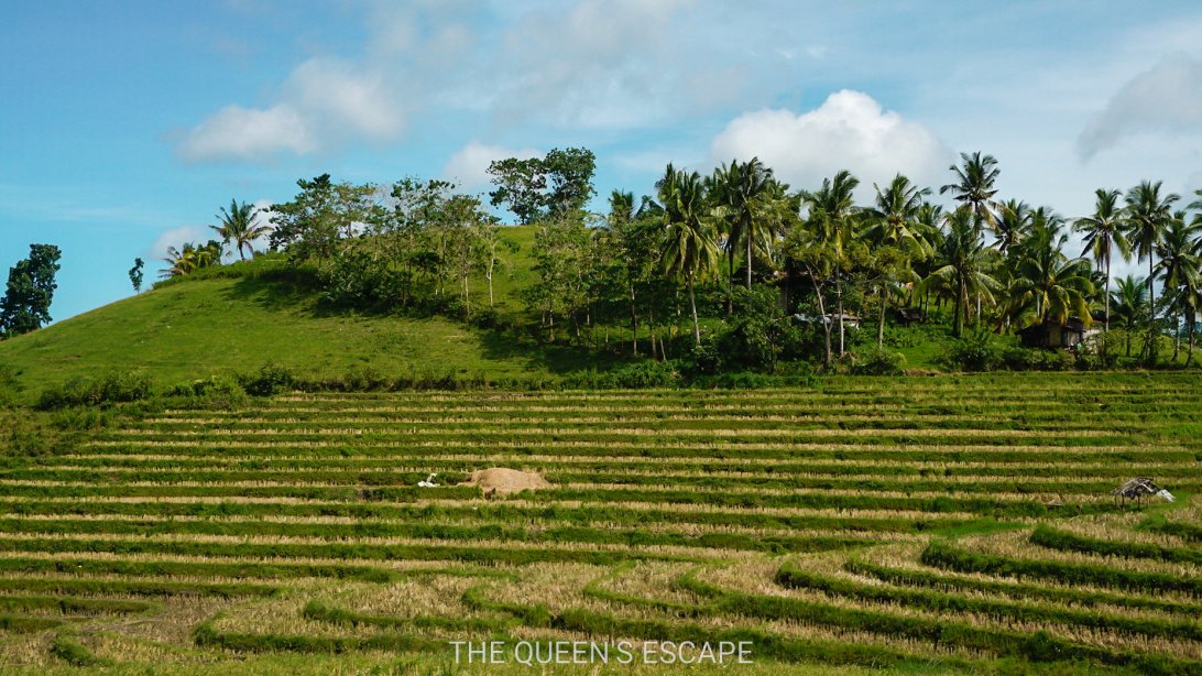 2025 Bohol DIY Travel Guide (Itinerary + Budget) - The Queen's Escape