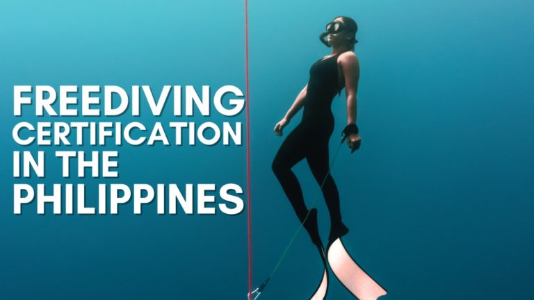 Freediving Certification in the Philippines - The Queen's Escape