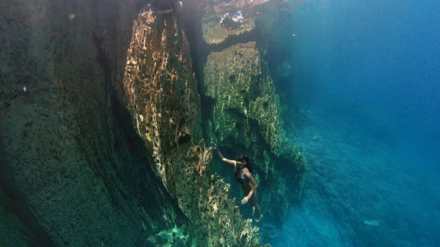 Best Dive Sites in the Philippines That Deserve a Spot on Your Bucket ...