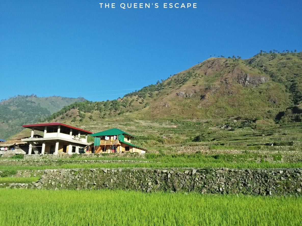 2025 Travel Guide to Buscalan Village, Tinglayan, Kalinga - The Queen's ...