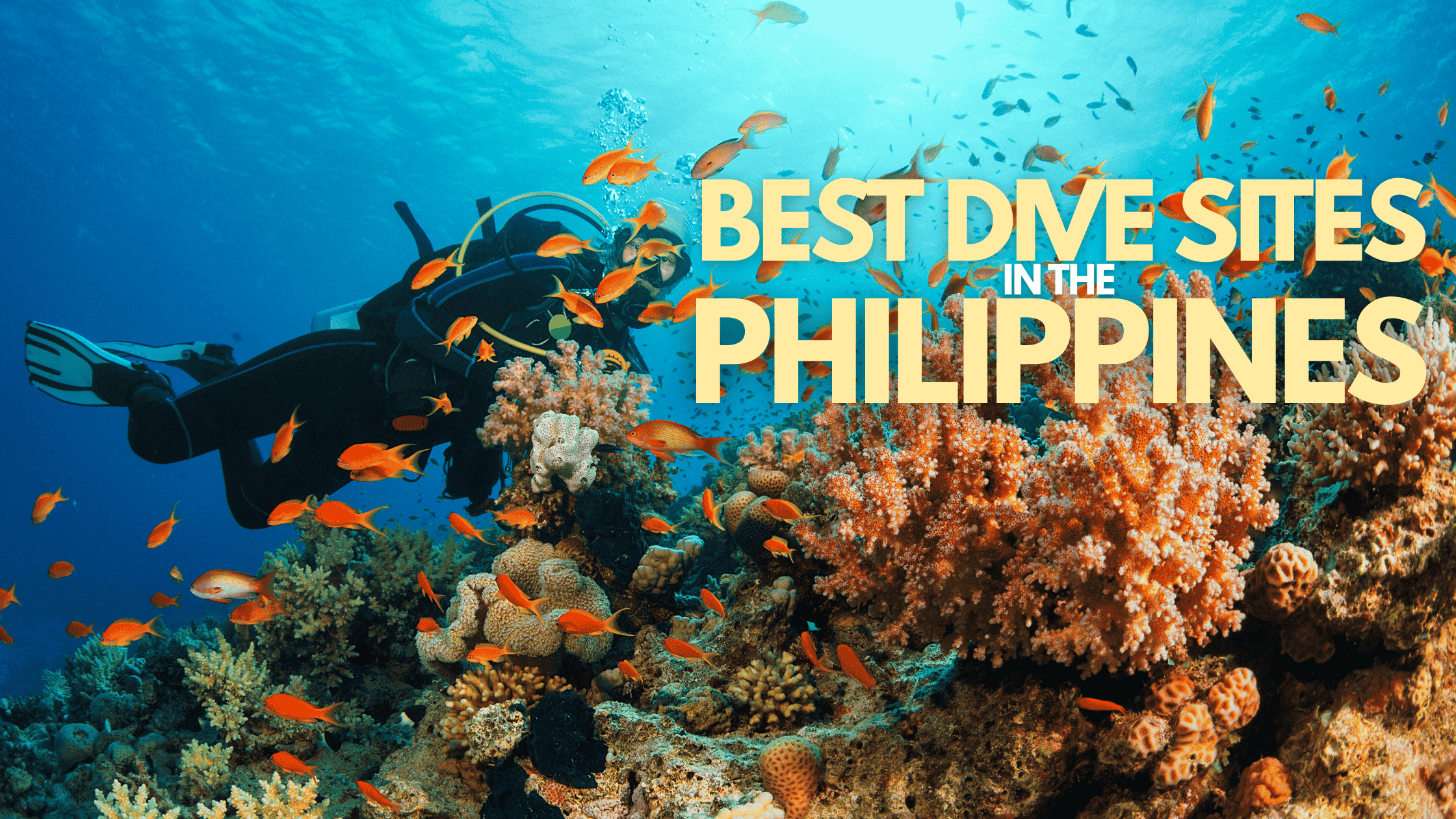 Best Dive Sites in the Philippines That Deserve a Spot on Your Bucket ...
