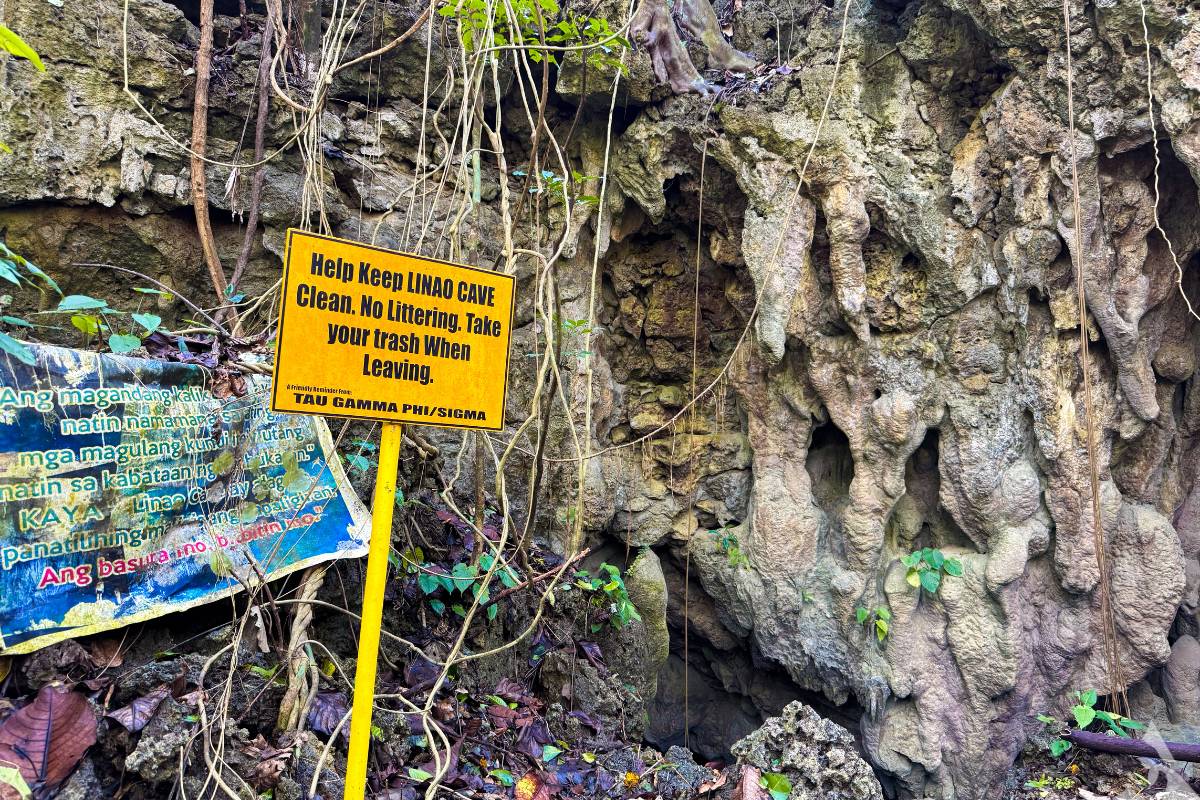 Linao Cave Travel Guide: A Cenote in Eastern Samar, Philippines - The ...