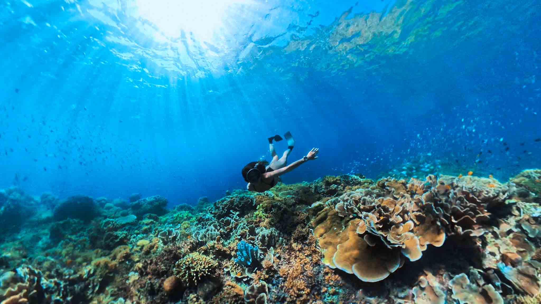 The Ultimate DIY Limasawa Island Travel Guide 2026 - The Queen's Escape