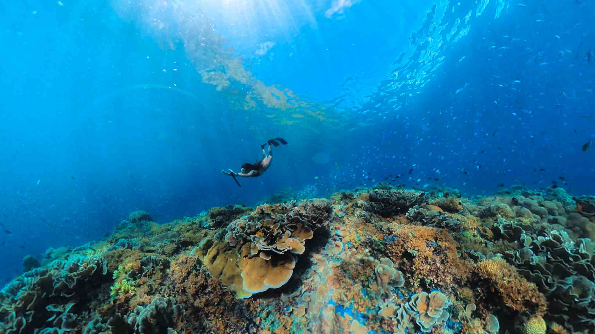 The Ultimate DIY Limasawa Island Travel Guide 2026 - The Queen's Escape